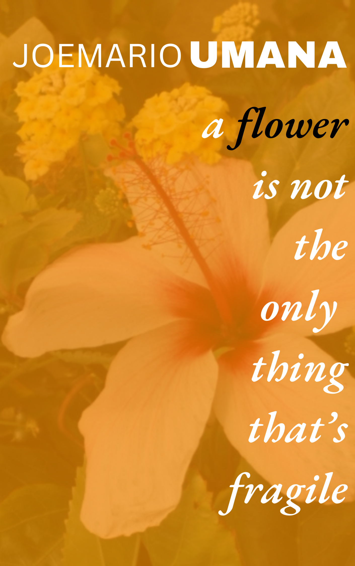 A Flower Is Not the Only Thing That’s Fragile by Joemario Umana